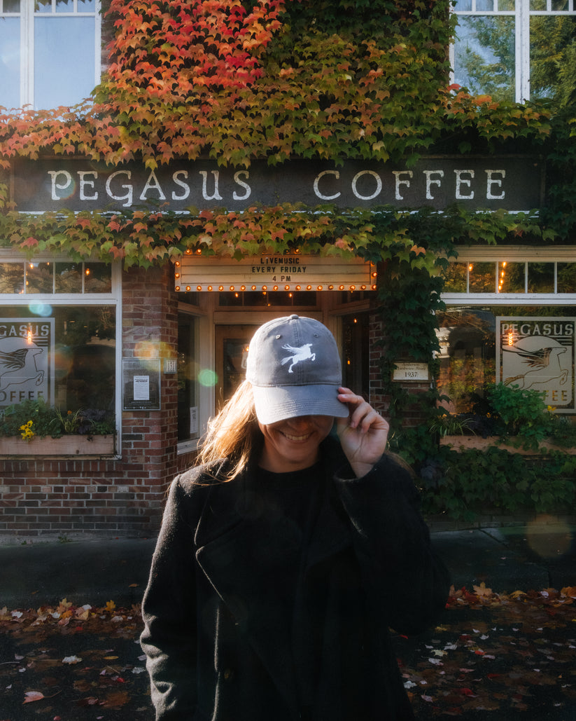 Pegasus Dad Hat – Pegasus Coffee